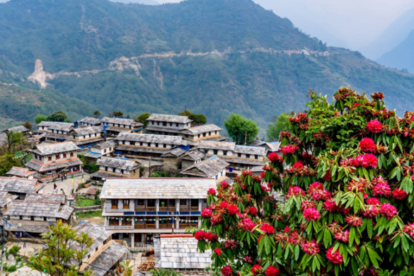 Gutka in London : अशी झालीय लंडनची दैना